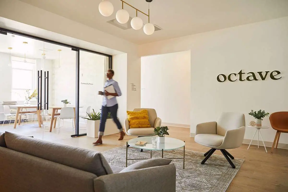 Octave Mental Health: Empowering Wellness & Balance